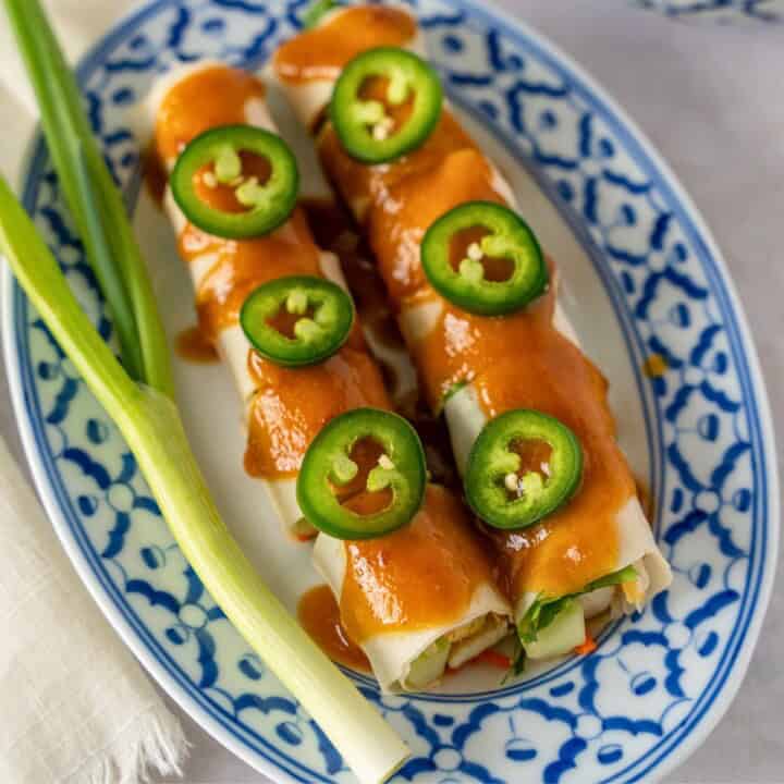 Thai Appetizers Archives | Thai Caliente