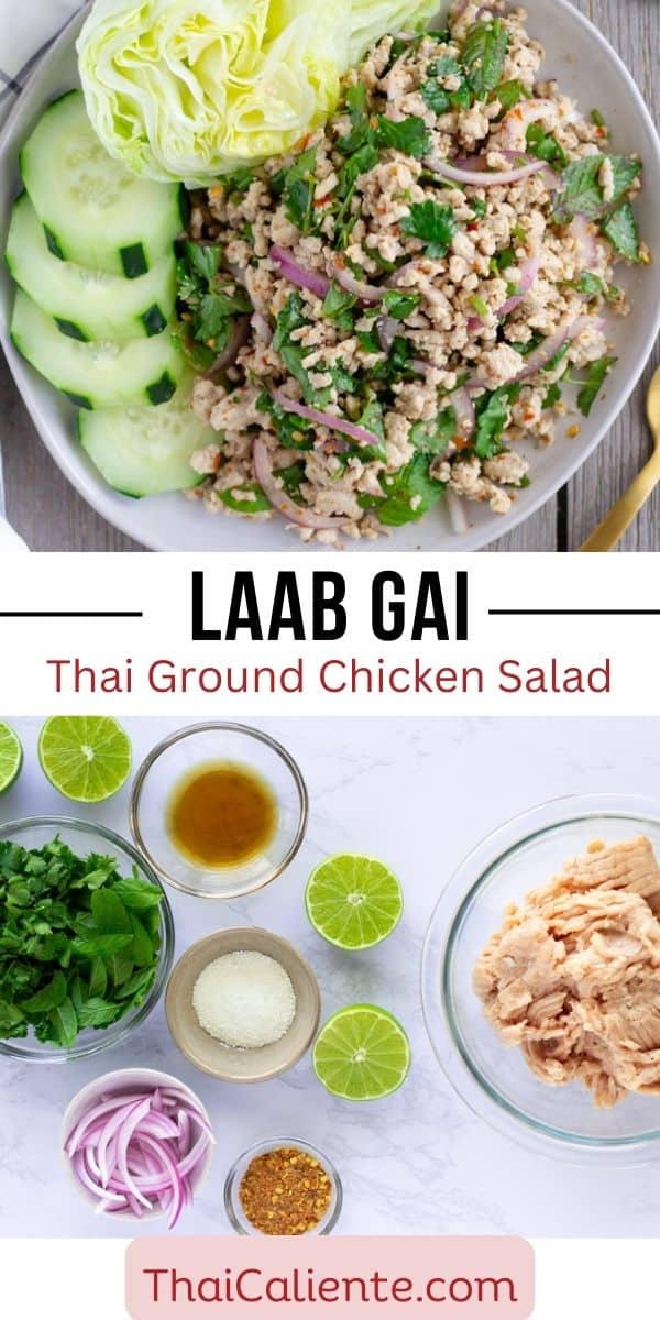 Laab Gai- Thai Ground Chicken Salad